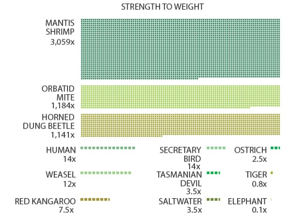 Graphs of the world's most powerful animals | Popular Science