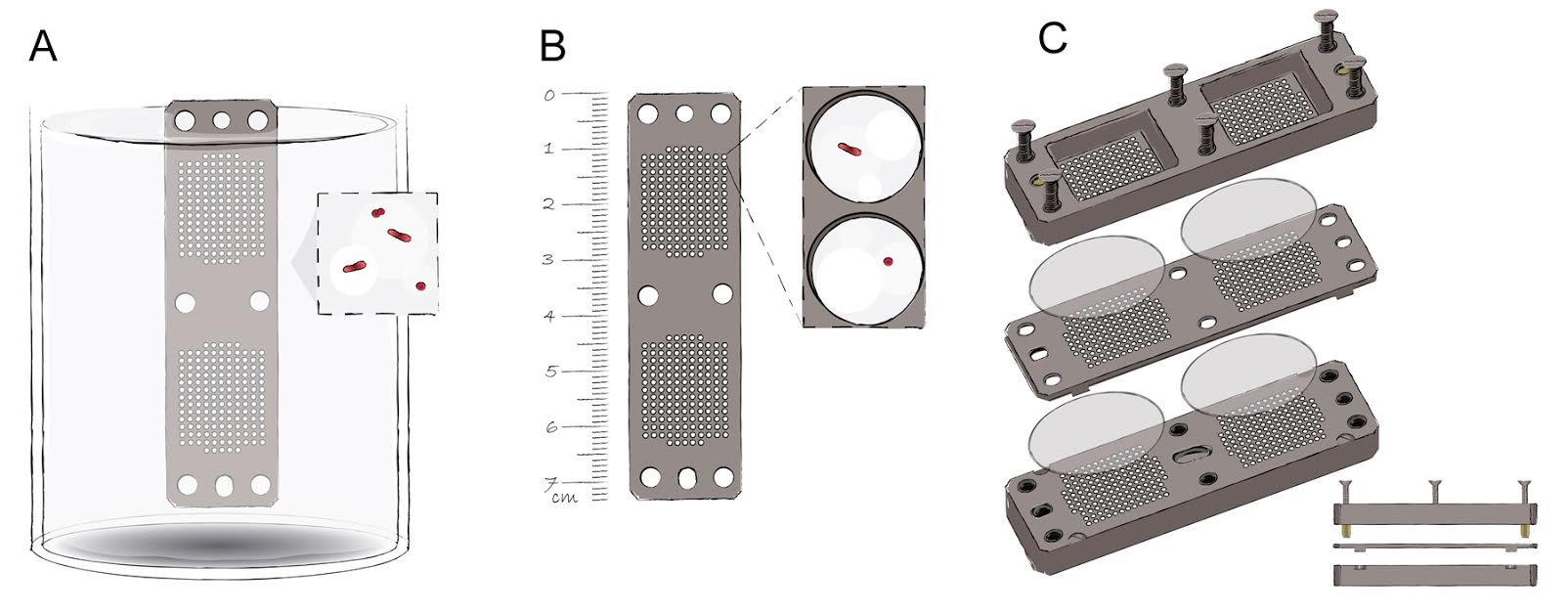 iChip: The Future of Antibiotic Discovery