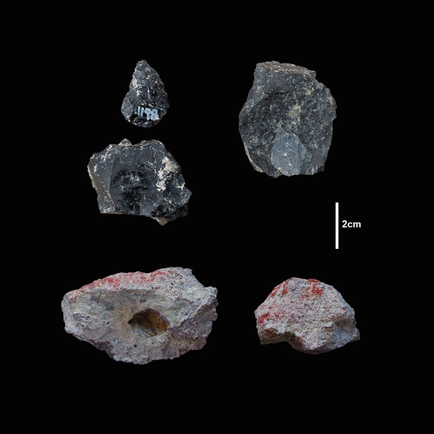 A primer on the primal origins of humans on Earth