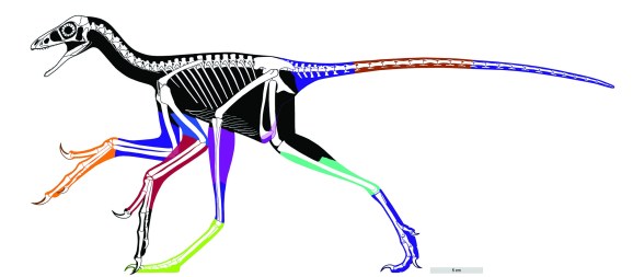Lasers reveal the secrets of a feathered dinosaur fossil