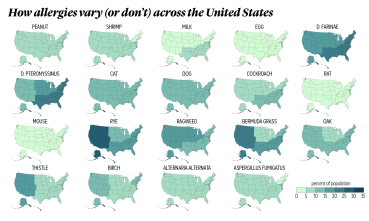 The most common allergies across the US, ranked