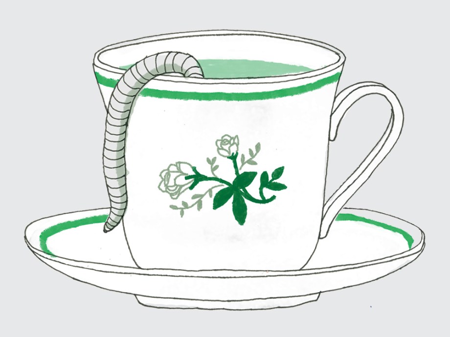 How to brew worm tea