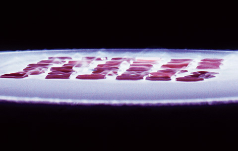 Most Retracted Scientific Papers Are Pulled Due To Fraud