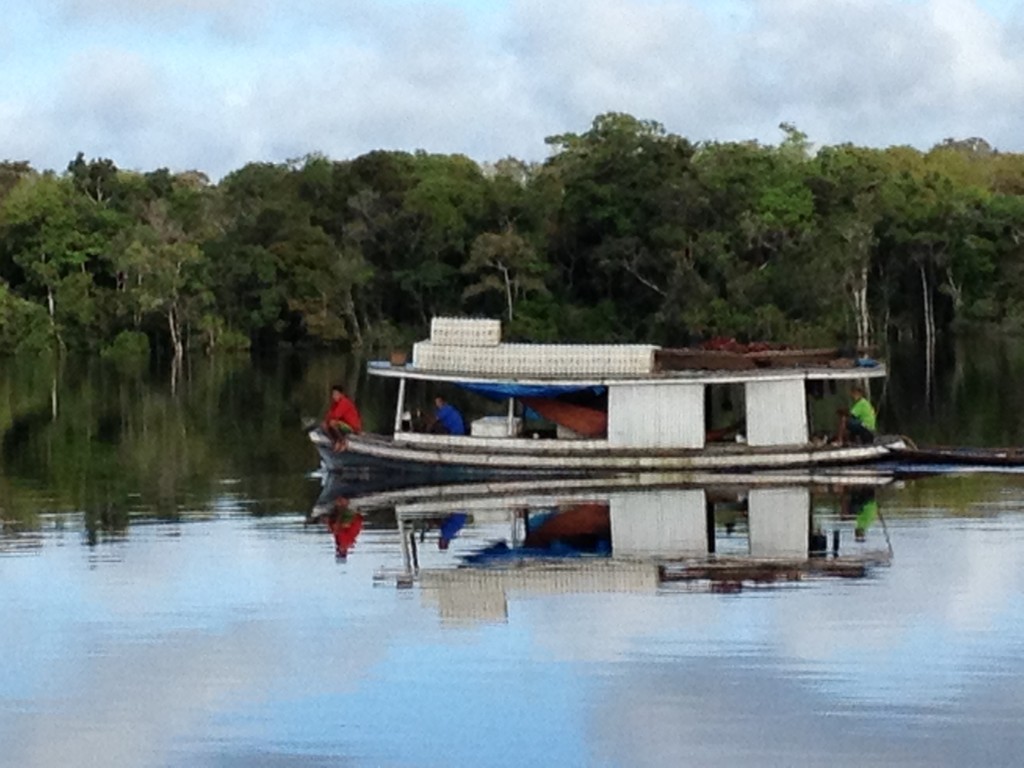 Dams on the Amazon River could have widespread, devastating impacts—and ...