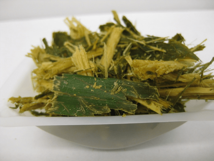 Pandas Might Be Painfully Pooping Out Their Gut Lining Each Year