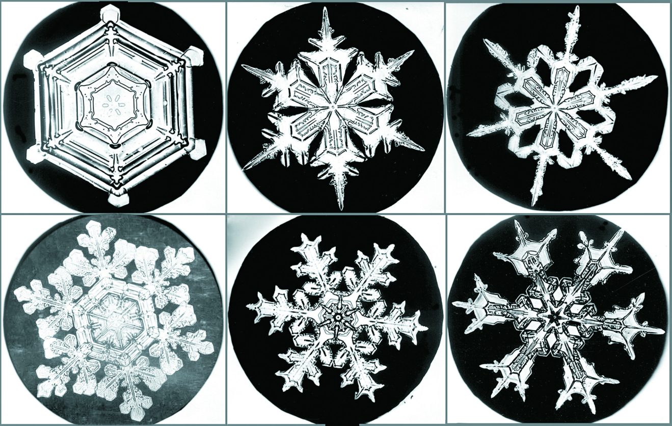 This Book Is A Complete Guide To The Science Of Snowflakes