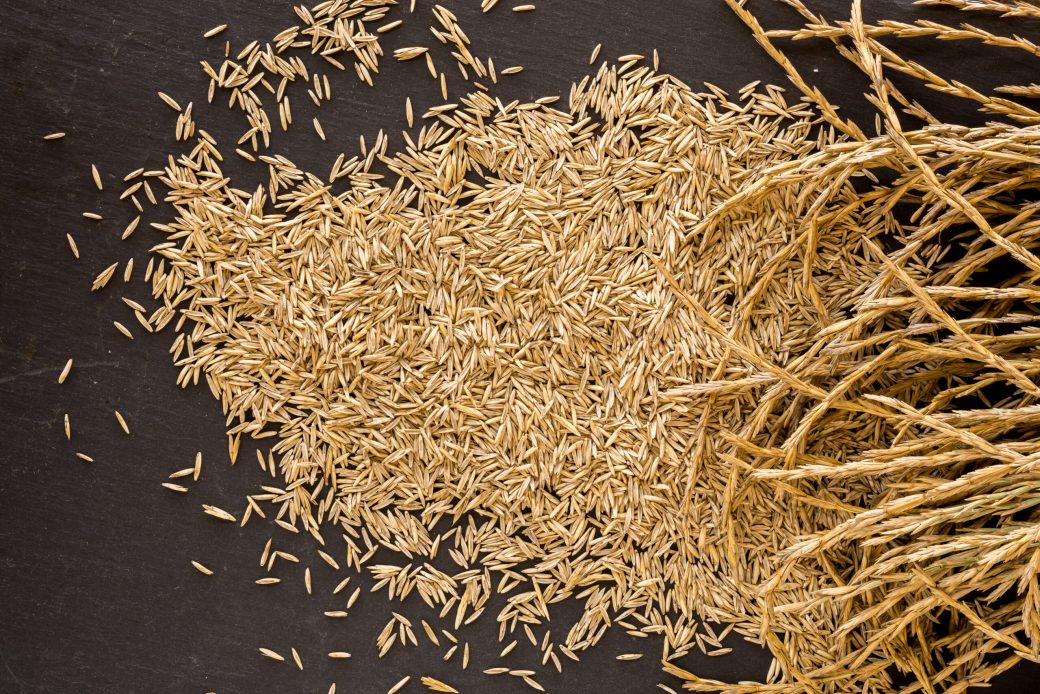 What To Drink While You Wait For Perennial Grains To Revolutionize ...