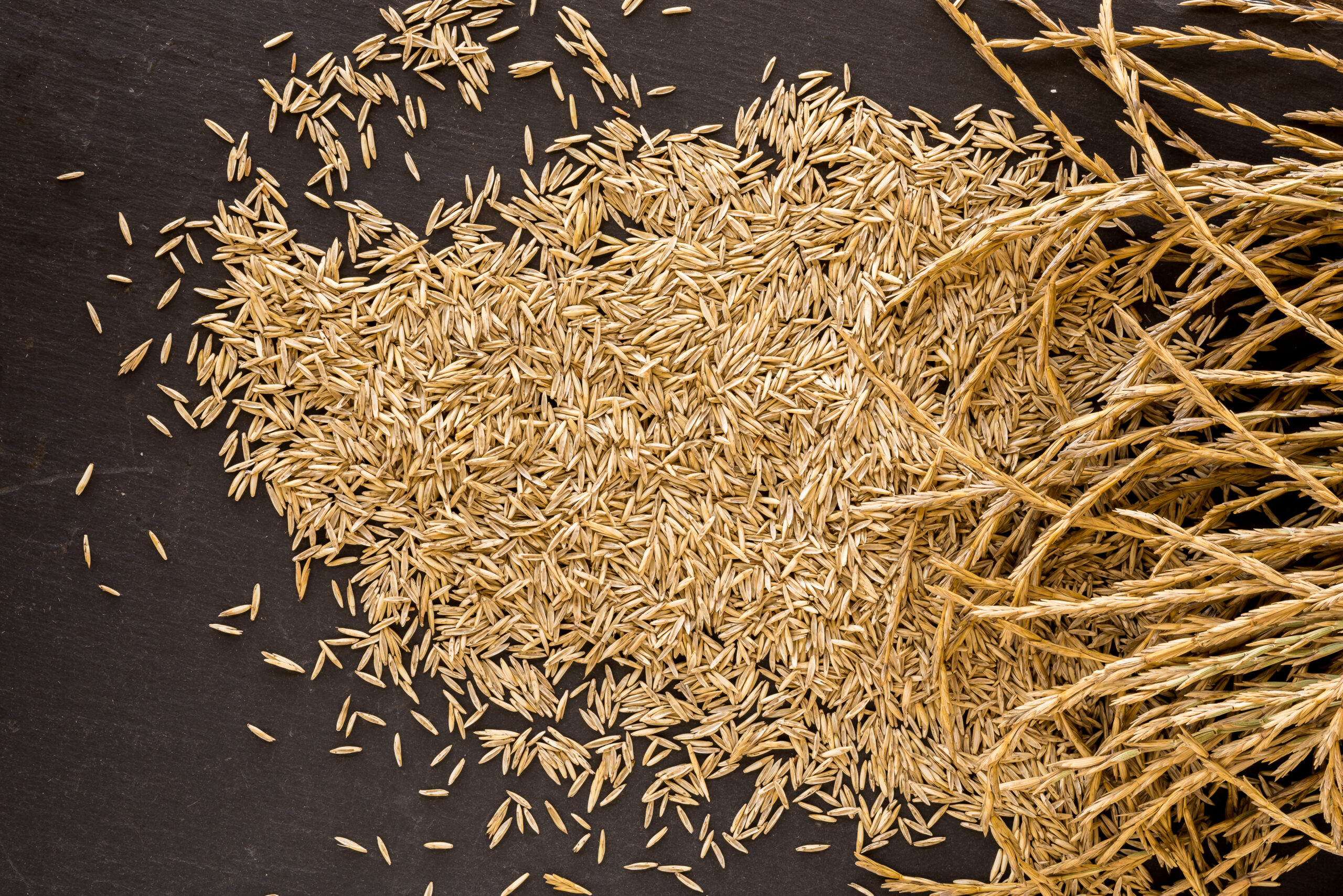 What To Drink While You Wait For Perennial Grains To Revolutionize ...