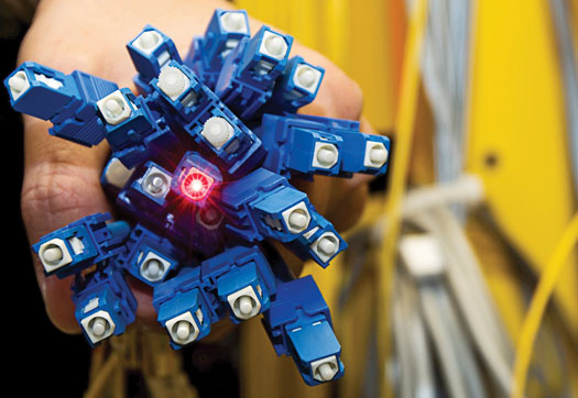 Google Protects Its Undersea Fiber Optic Cables... From Sharks