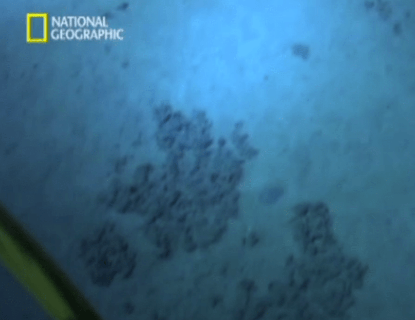 Video: The First Footage from James Cameron's Record-Setting Dive to ...