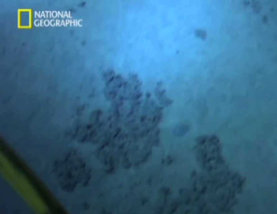 Video: The First Footage from James Cameron's Record-Setting Dive to ...