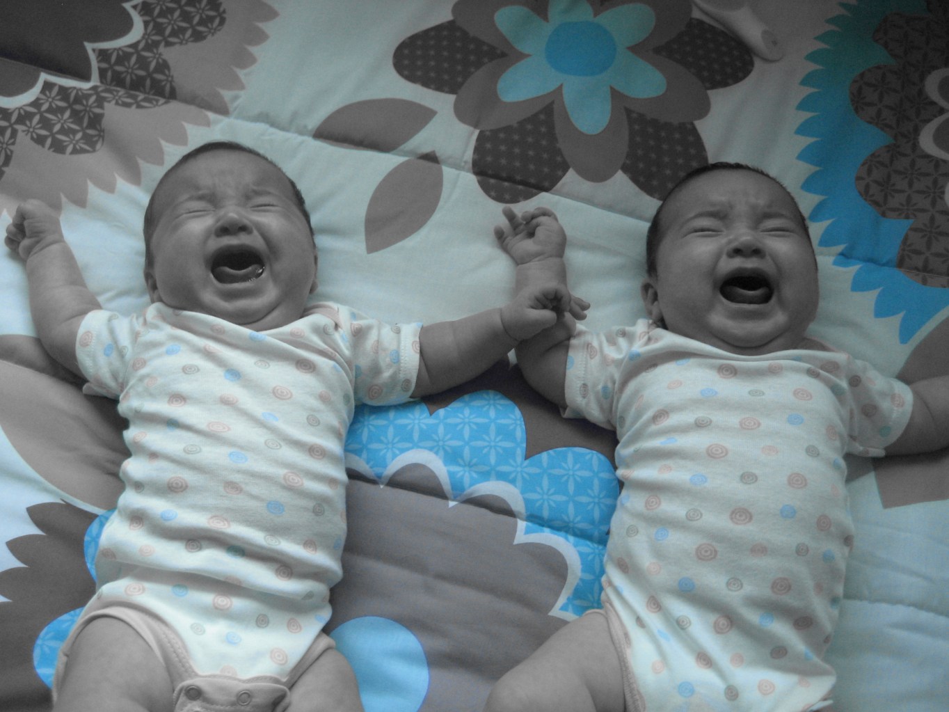 The Fatter Twin Is No More Likely To Have A Heart Attack