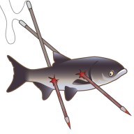 Five Ways To Stop Asian Carp
