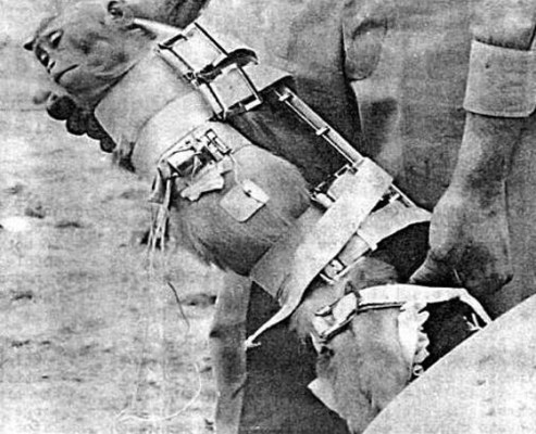 The Alberts, Spaceflight's Unsung Heroes