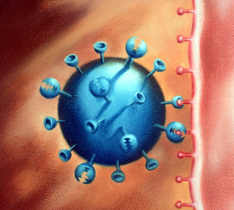 The smaller the city, the bigger the flu epidemic