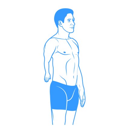 How to grow an arm