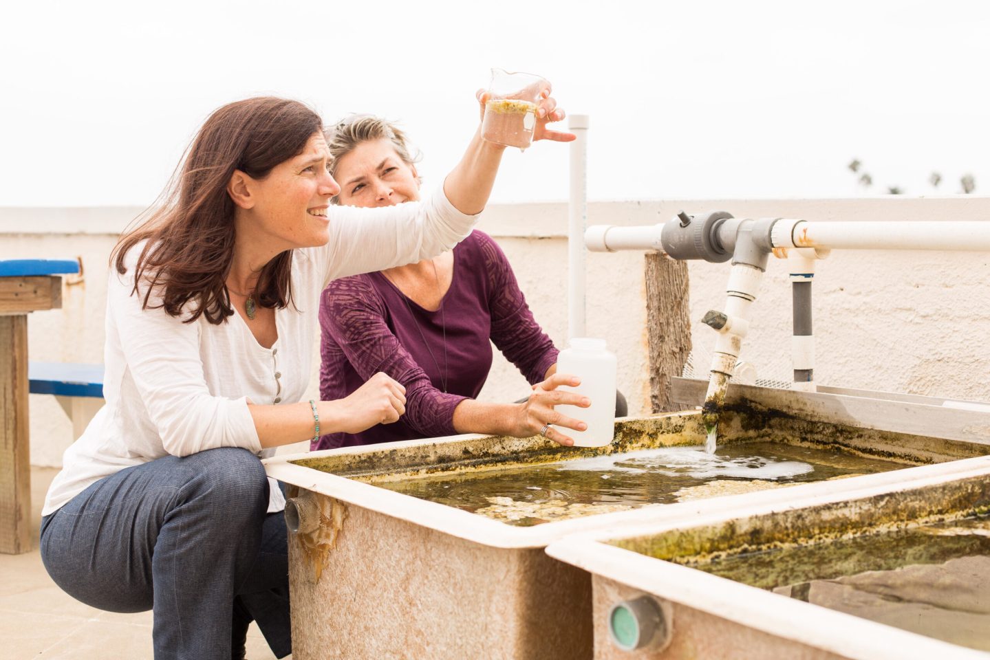 Here Are The 2016 MacArthur Fellows in Science