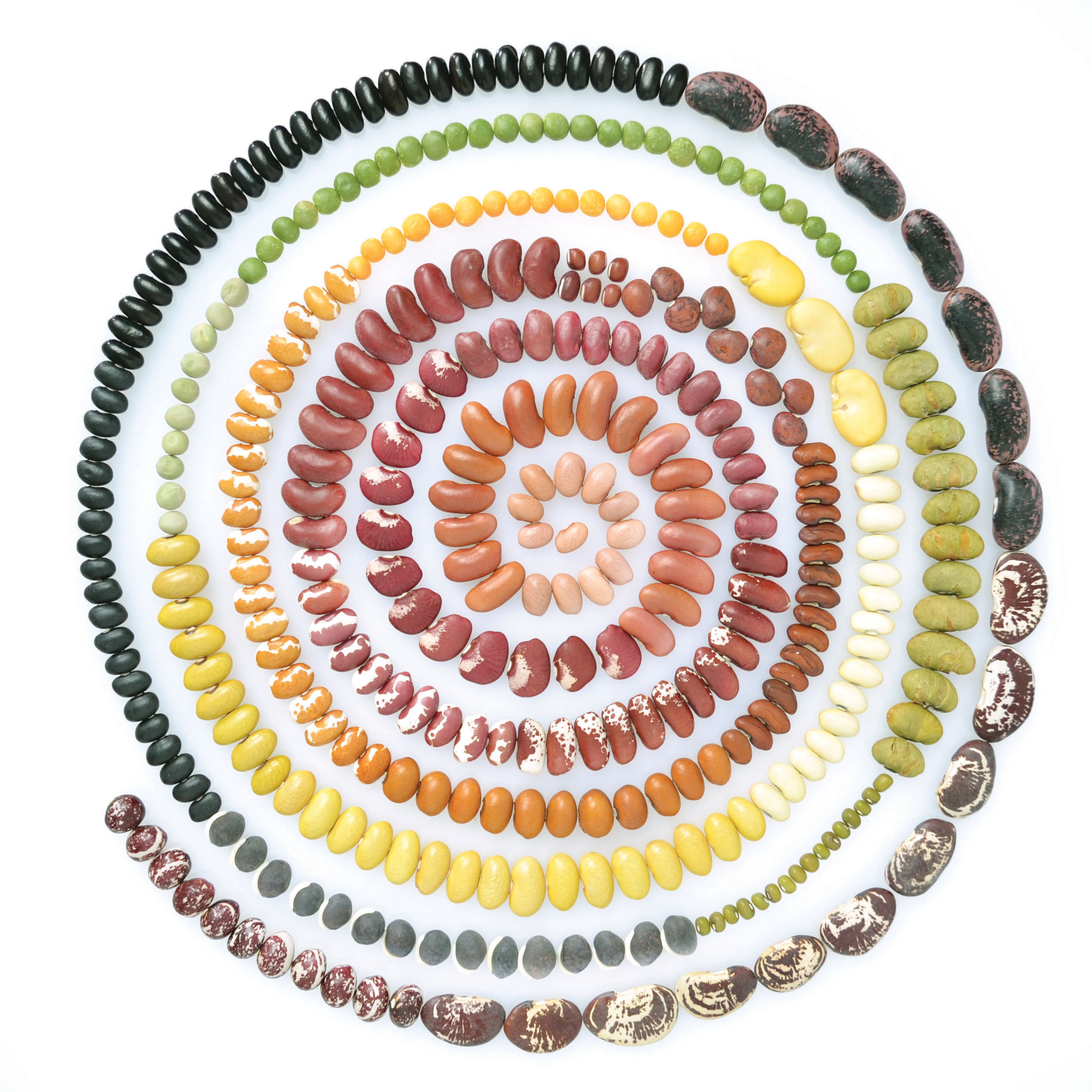 Organizing the natural world by color makes for some seriously ...