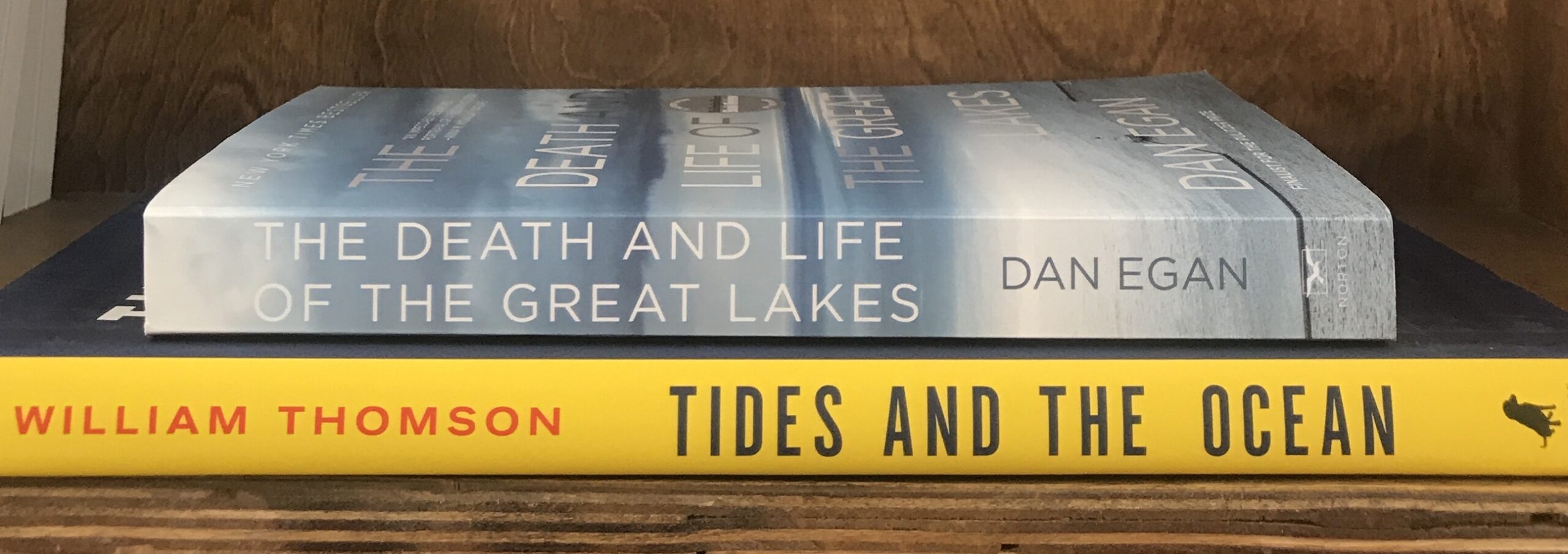 18 water-themed books to dive into this month