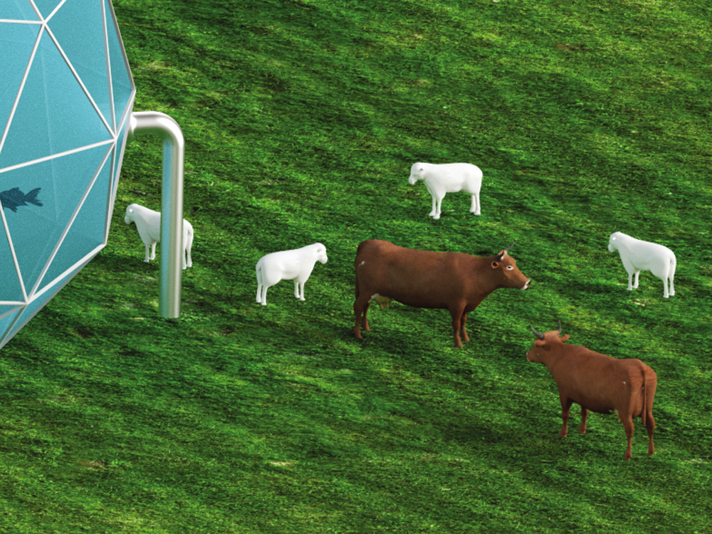 We could move to another planet with a spaceship like this