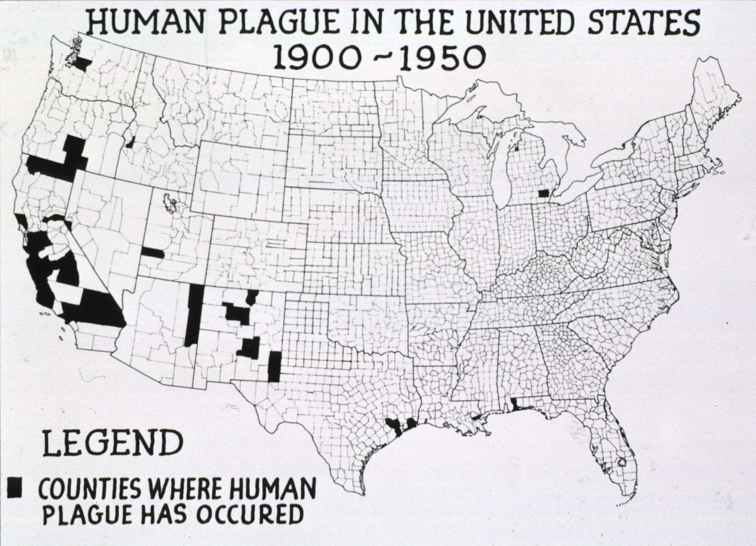 Five things you might not know about the plague (not including the fact ...
