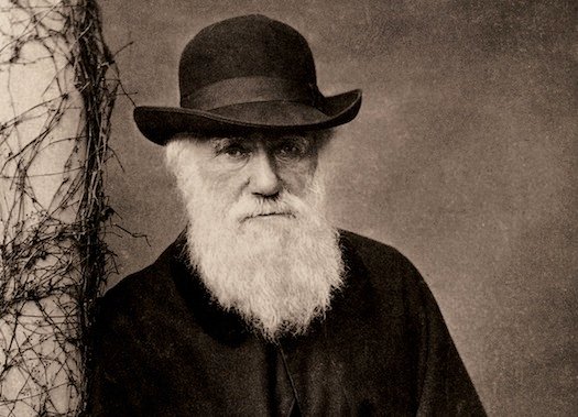 What If Darwin Had Never Existed?