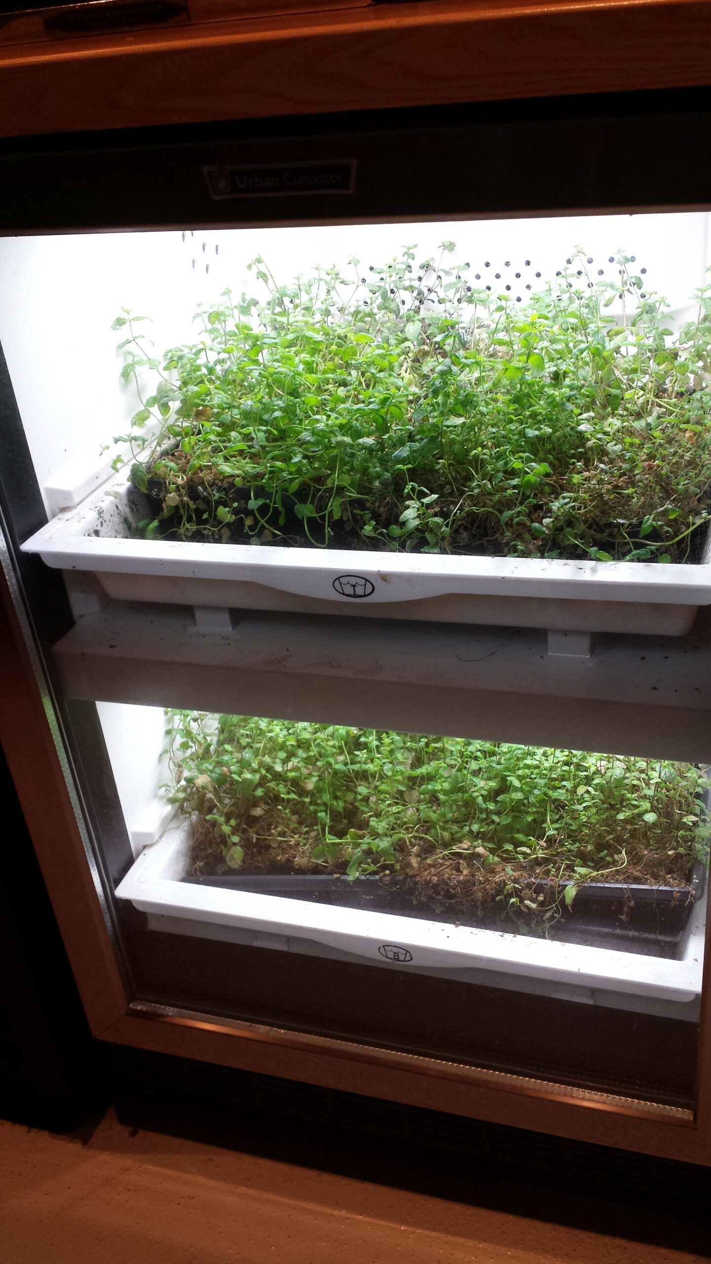 How Bars Are Using High-Tech Equipment To Make Better Drinks