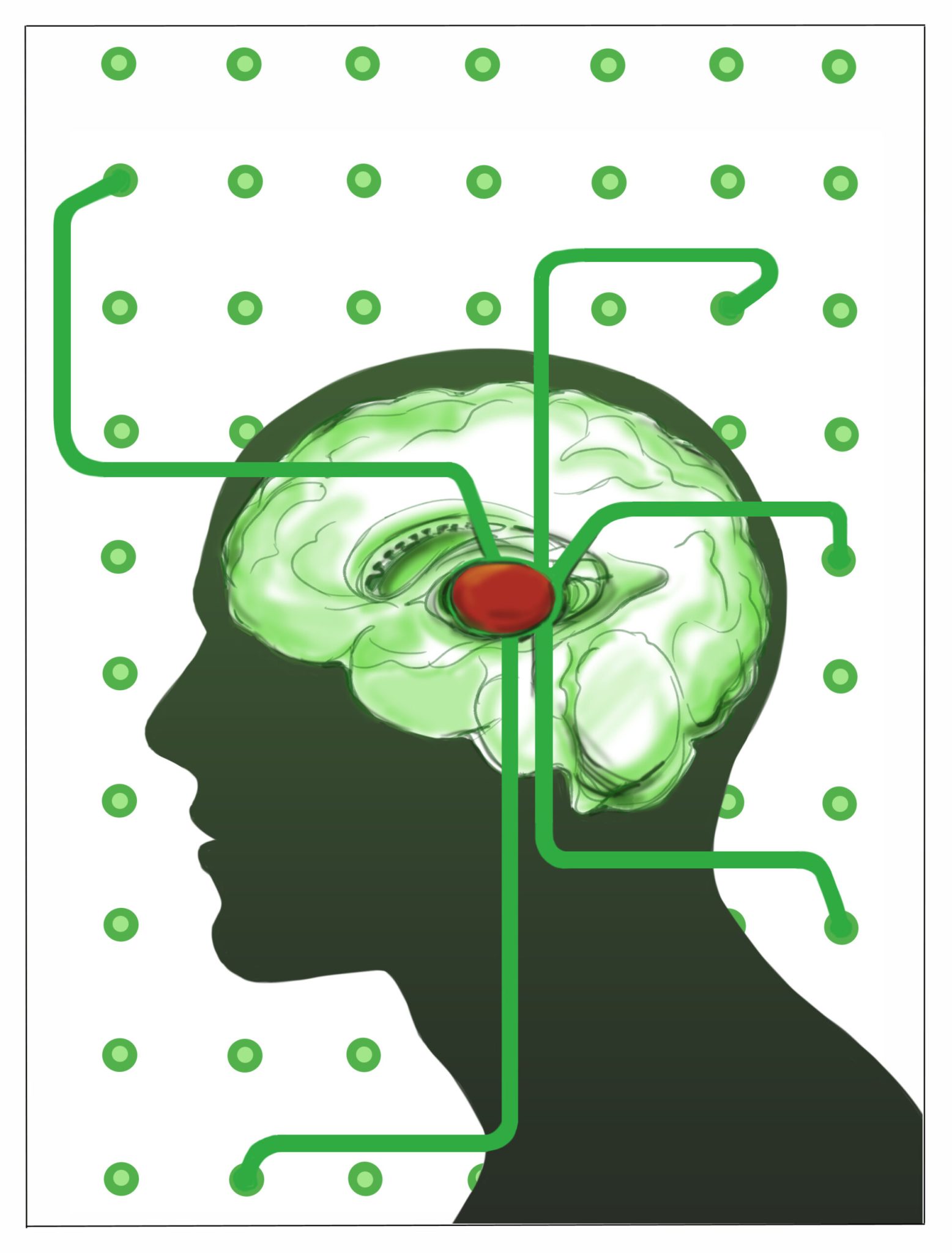 Thirsty Brain Organ Tells Us When To Drink And When To Stop