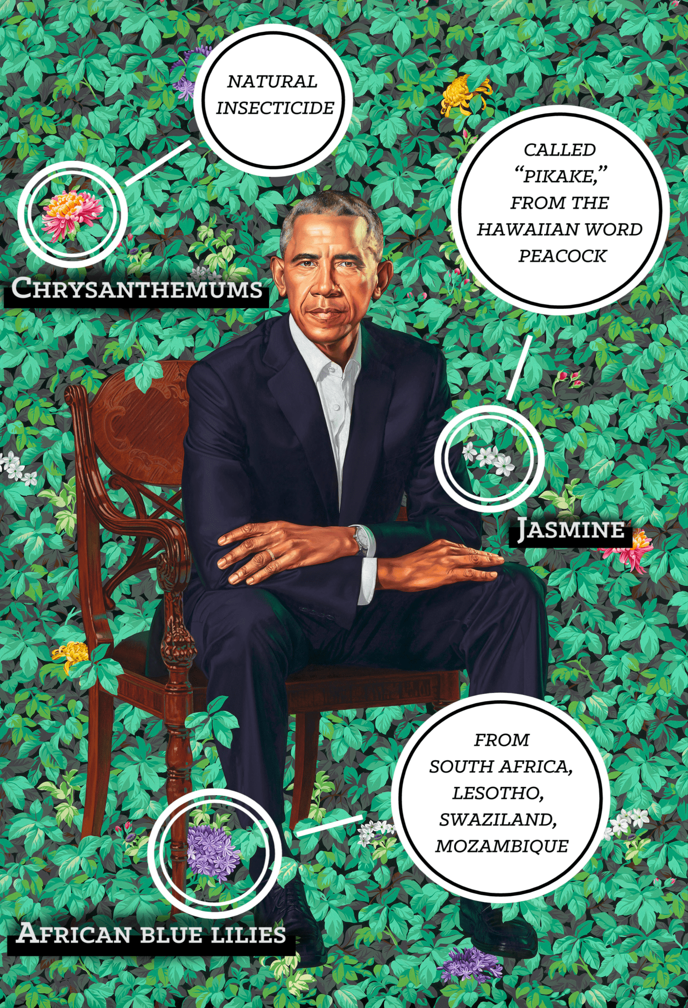 The botany in Obama's official portrait represents his history