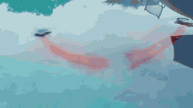 How To Create Vortex Rings In Your Swimming Pool