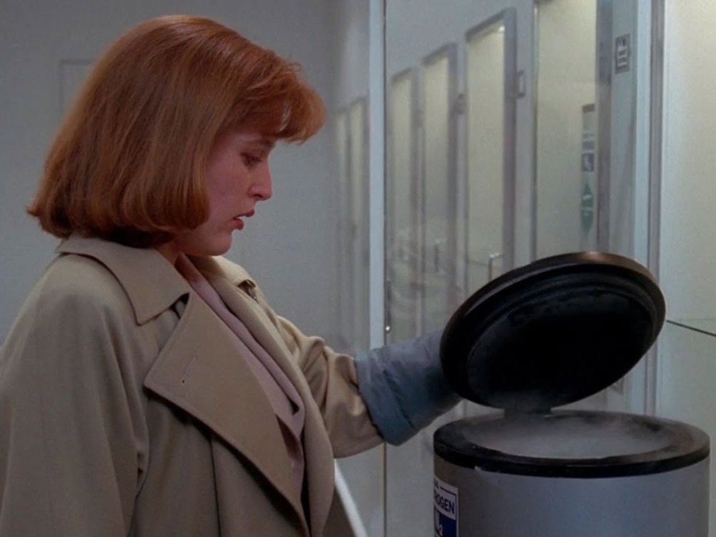 'The X-Files' Top Five Alien Episodes
