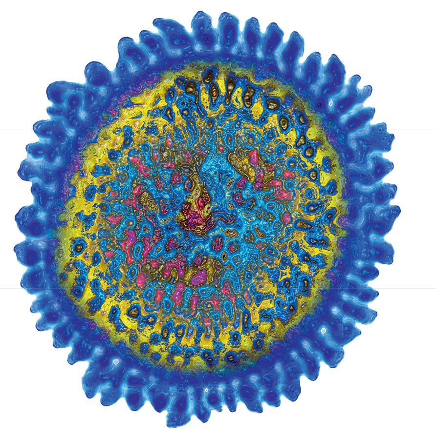 Science Is Beautiful: The Human Body Under The Microscope