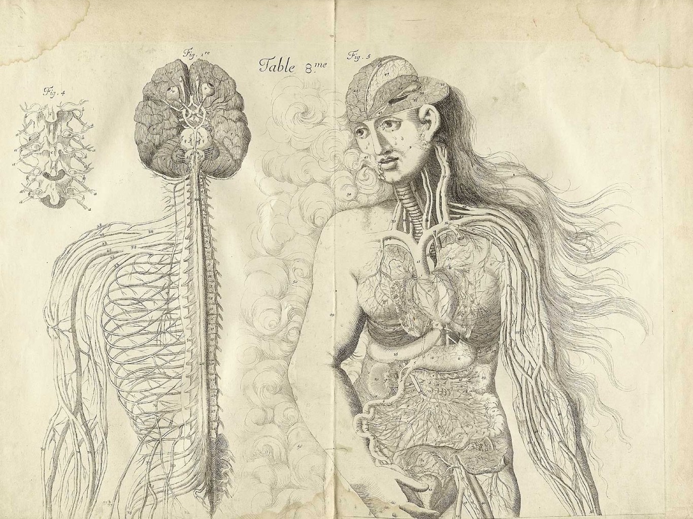 7 Fantastic Vintage Anatomy Drawings