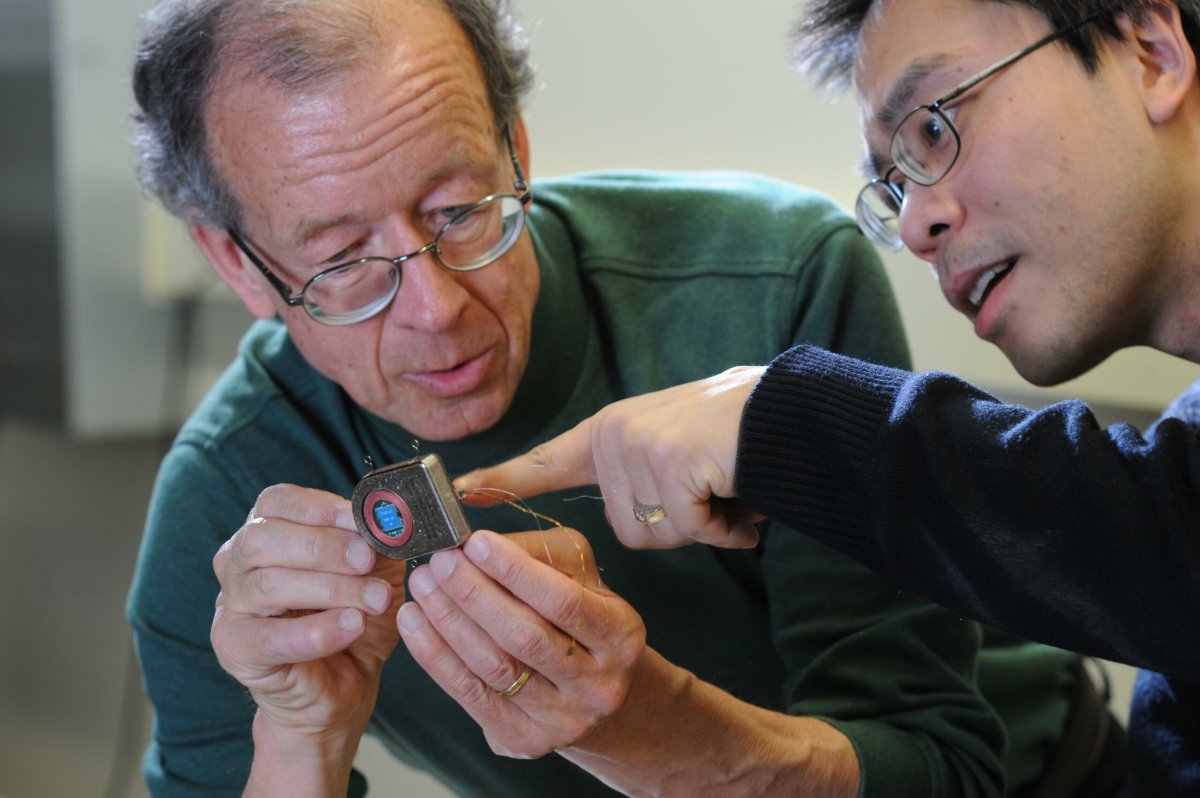 Wireless, Implantable Interface Lets Monkeys Control Computers With ...