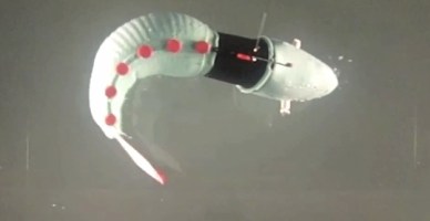 Robotic Fish and Inflatable Tentacles: How MIT is Solving Hard Problems ...