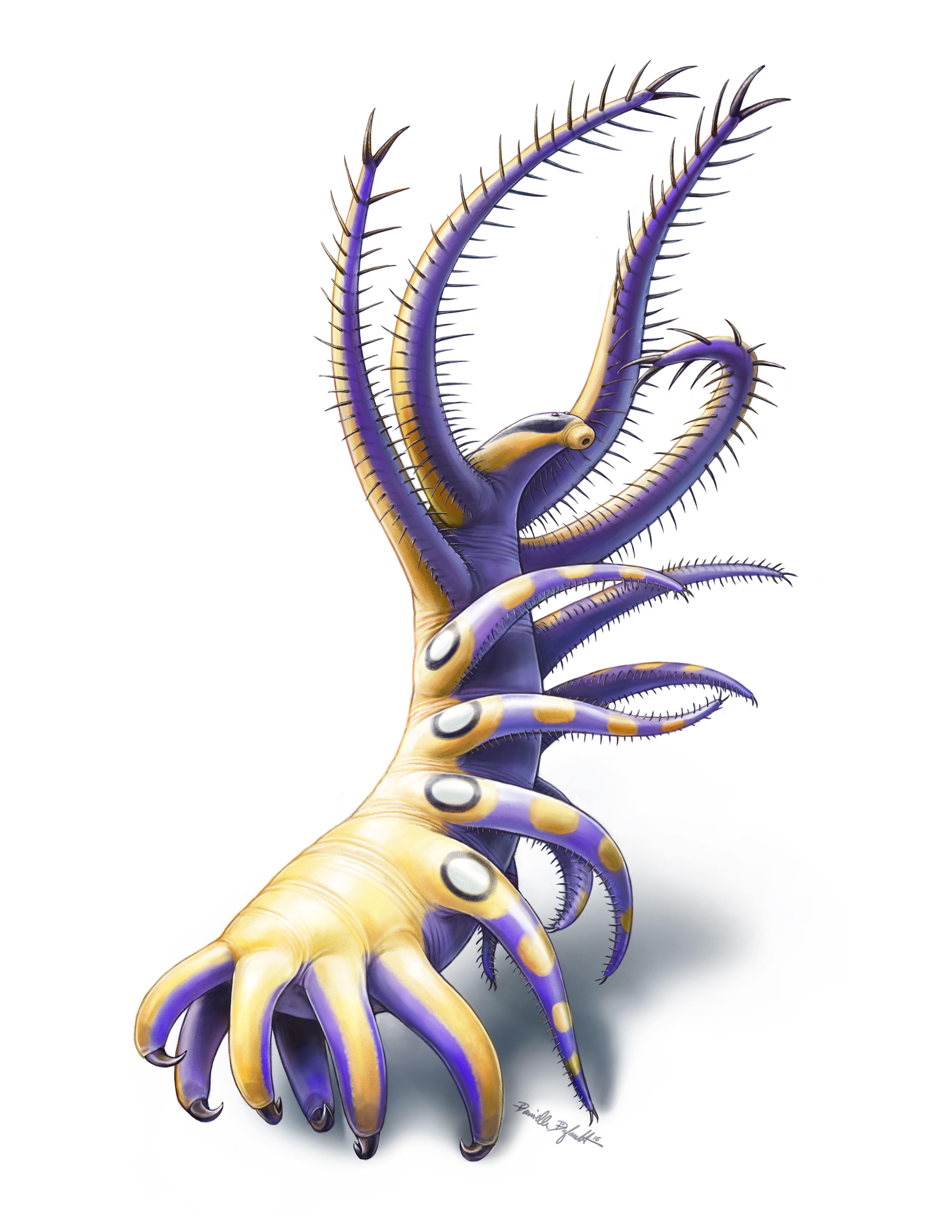Scientists just found a 500-million-year-old worm with legs