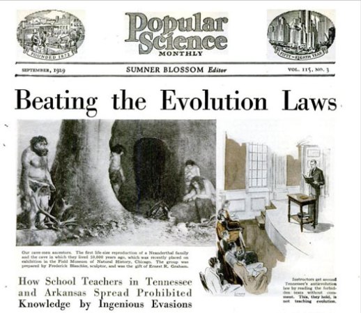 Interactive Fractal Tree of Life Zooms In On Earth's Entire ...