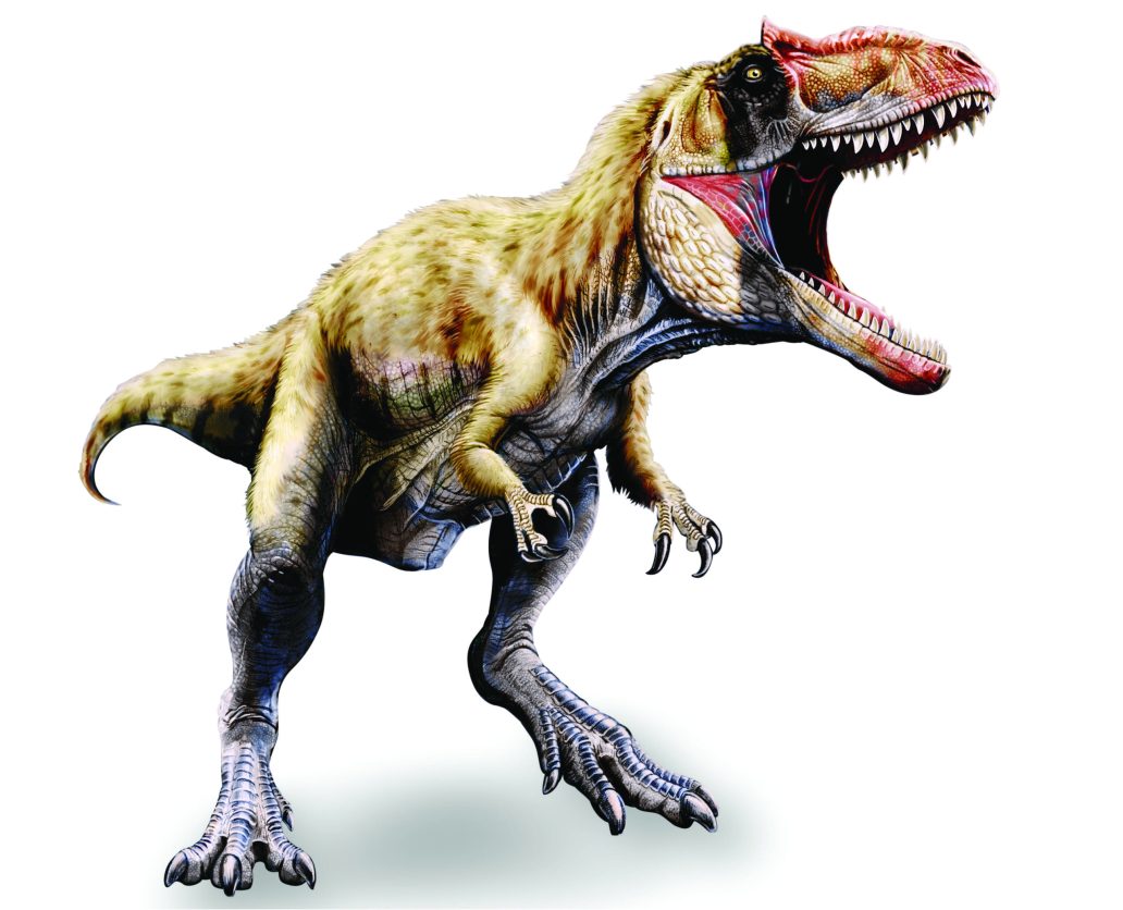 Scientists Have Created Chickens With Dinosaur Snouts