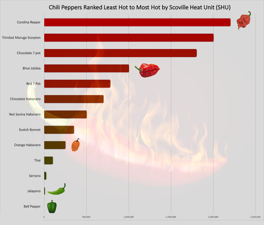 We ate the world’s spiciest chip, cried for 45 minutes, then wrote this ...