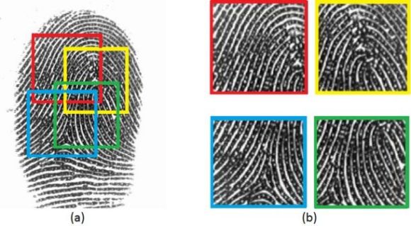 Computer scientists are developing a ‘master’ fingerprint that could ...