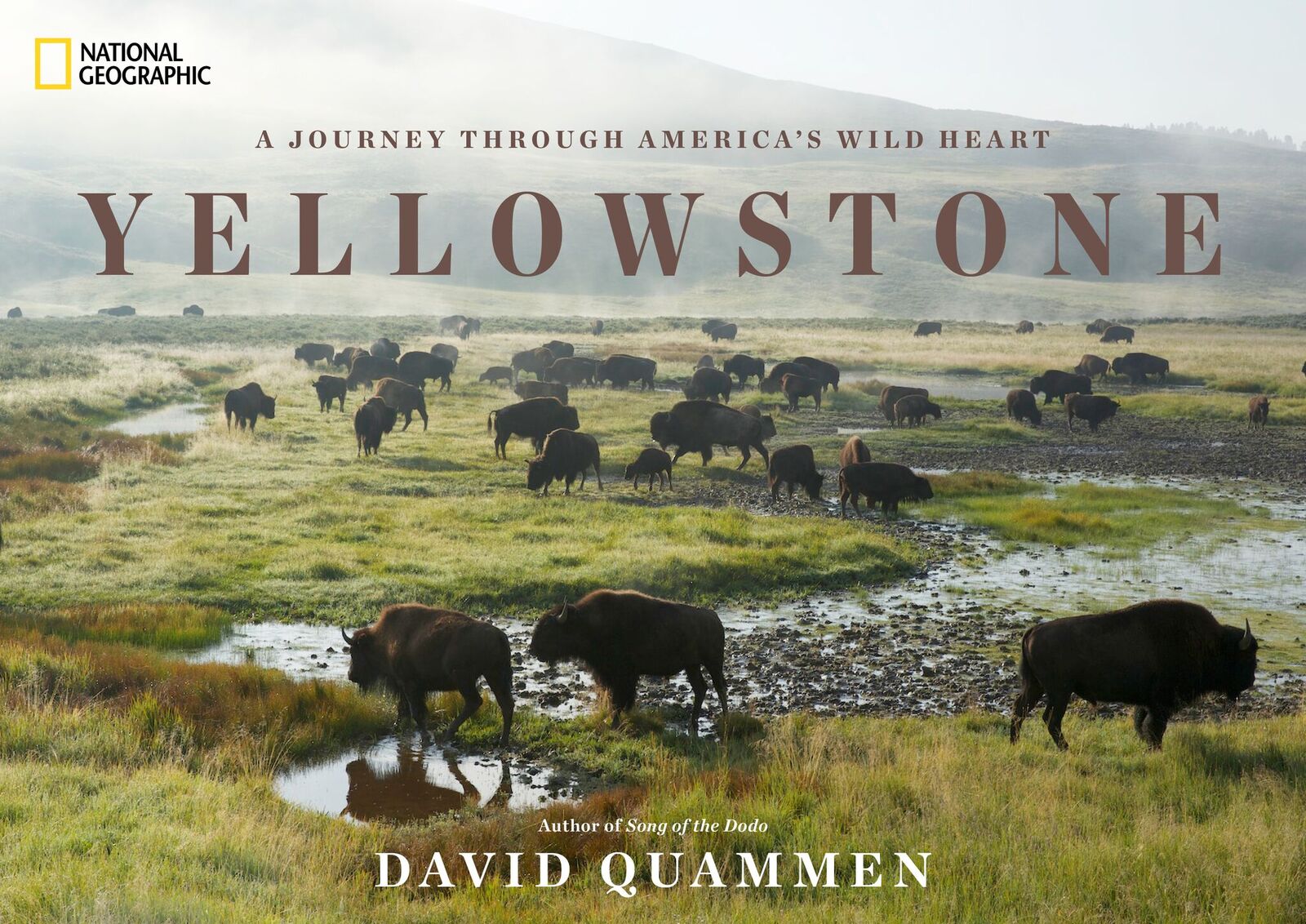 Yellowstone: A Journey Through America's Wild Heart