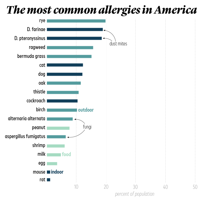 The most common allergies across the US, ranked
