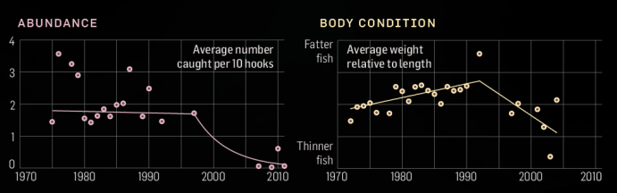 The Fish That Could Save Antarctica