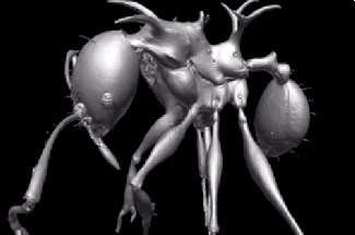 New 'Dragon' Ant Species Are Named After Game Of Thrones Characters