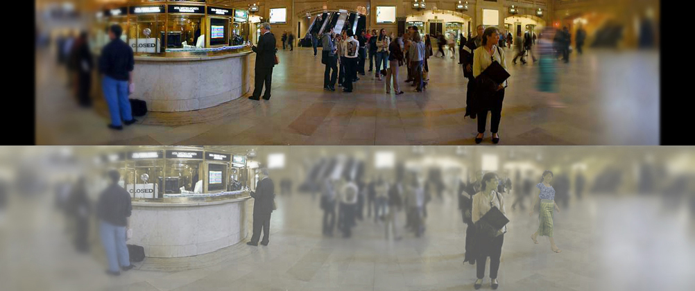 See The World Through The Eyes Of A Cat