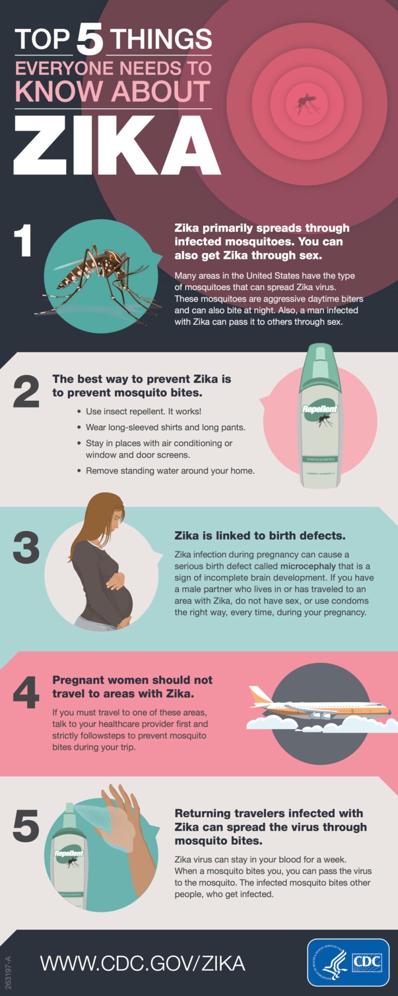 Four Non-Travel Zika Cases Under Investigation In South Florida