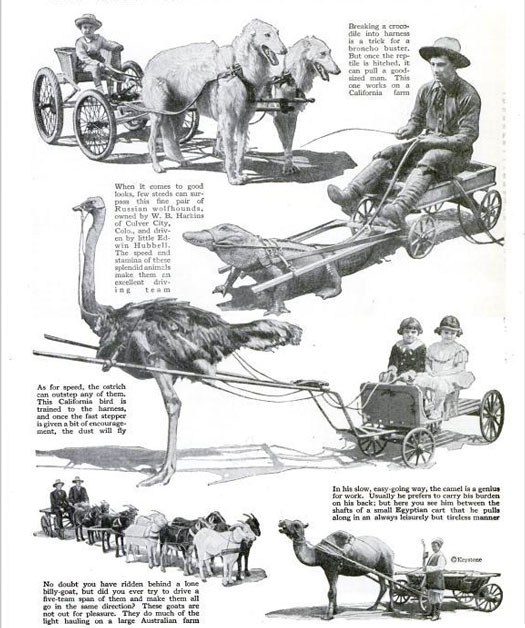 Archive Gallery: PopSci's Most Impractical Inventions