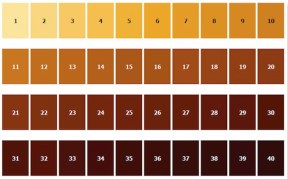 BeerSci: How Beer Gets Its Color