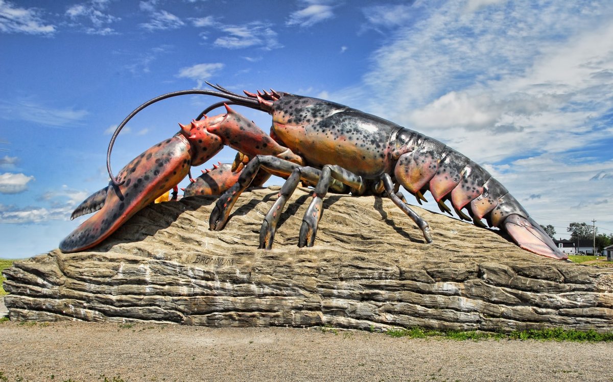 No one knows if lobsters feel pain, which makes boiling them alive ...
