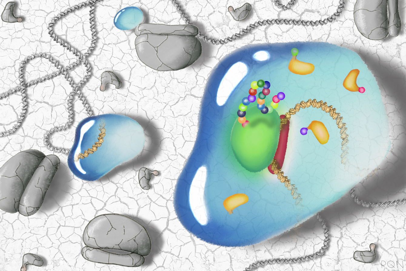 This "Just Add Water" Chemistry Kit Can Create On-Demand Drugs And Vaccines